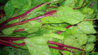 Halamang Gamot - Alugbati - KeyzoneBlog