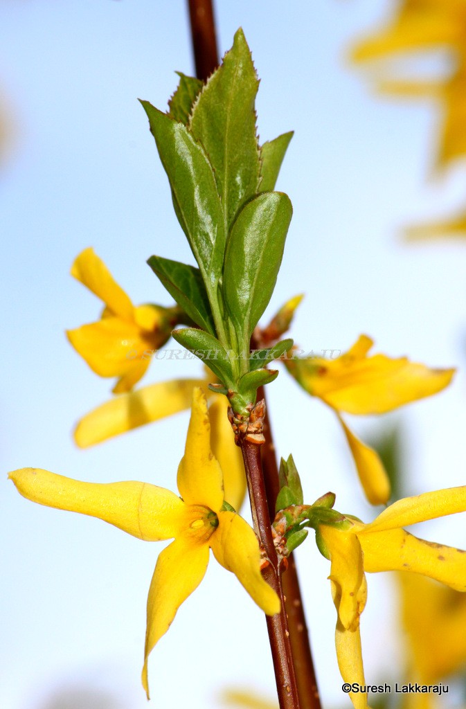Reflections...: Spring Colors
