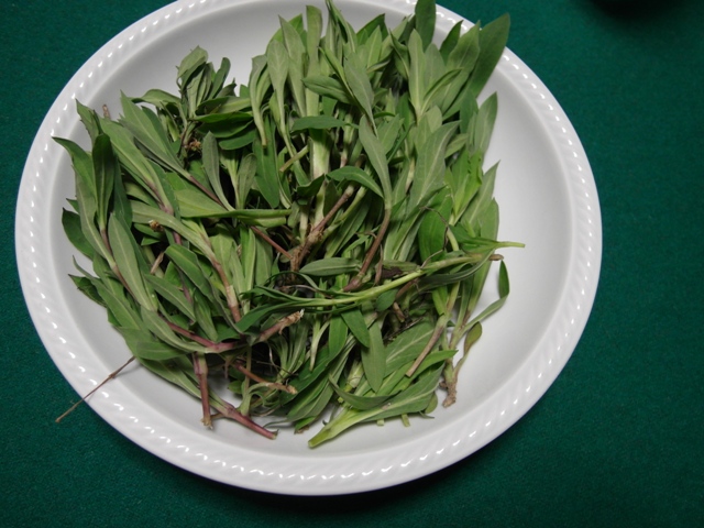 ILFOGOLAR: Pesto di sclopit