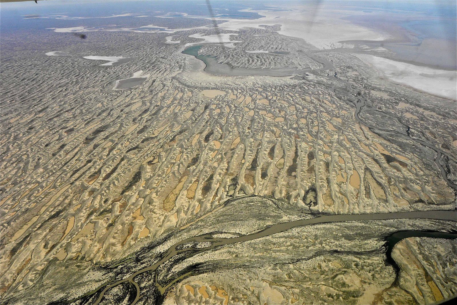 Pictures of Olívia Németh