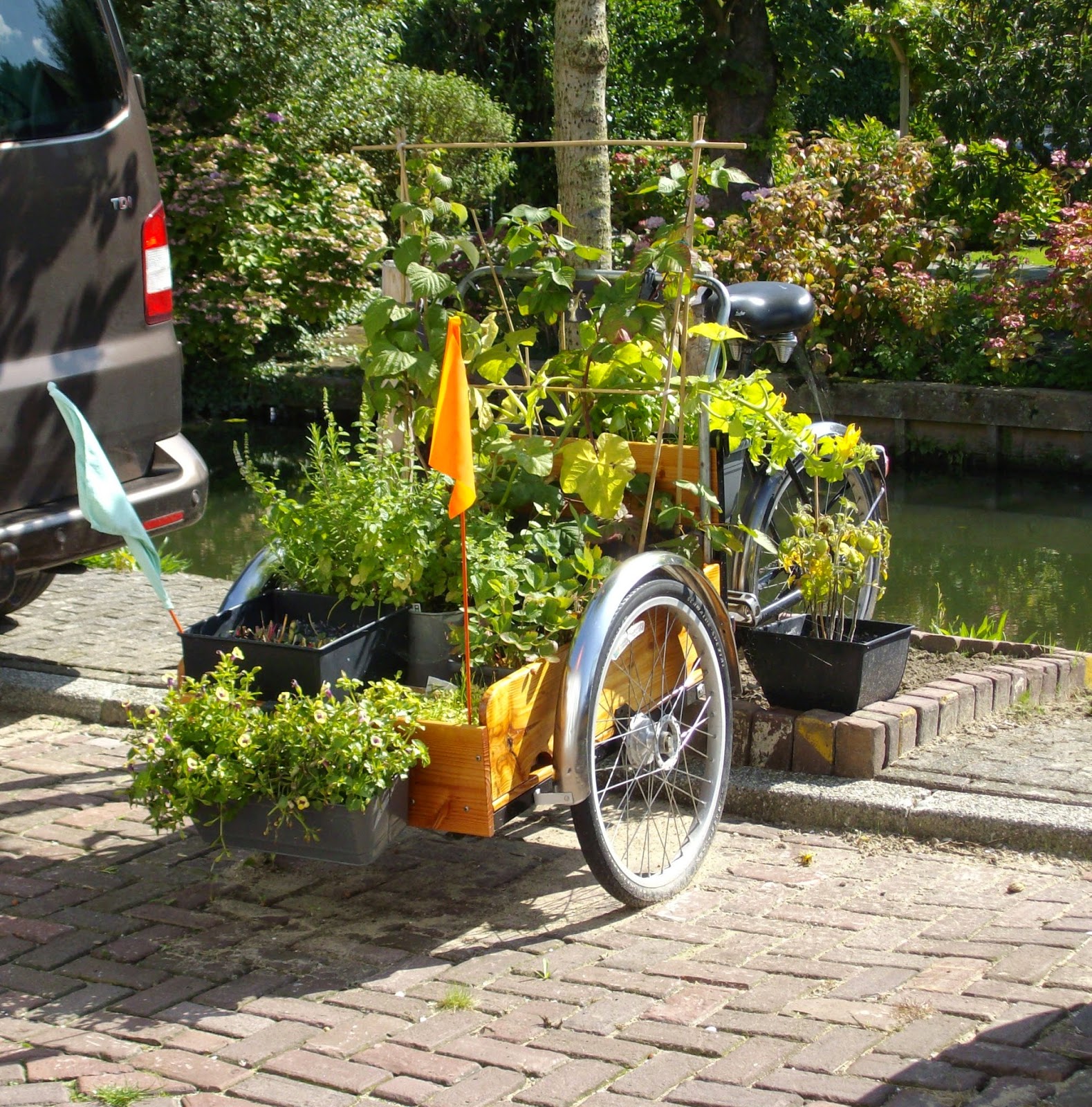 Guerilla gardening in Weesp