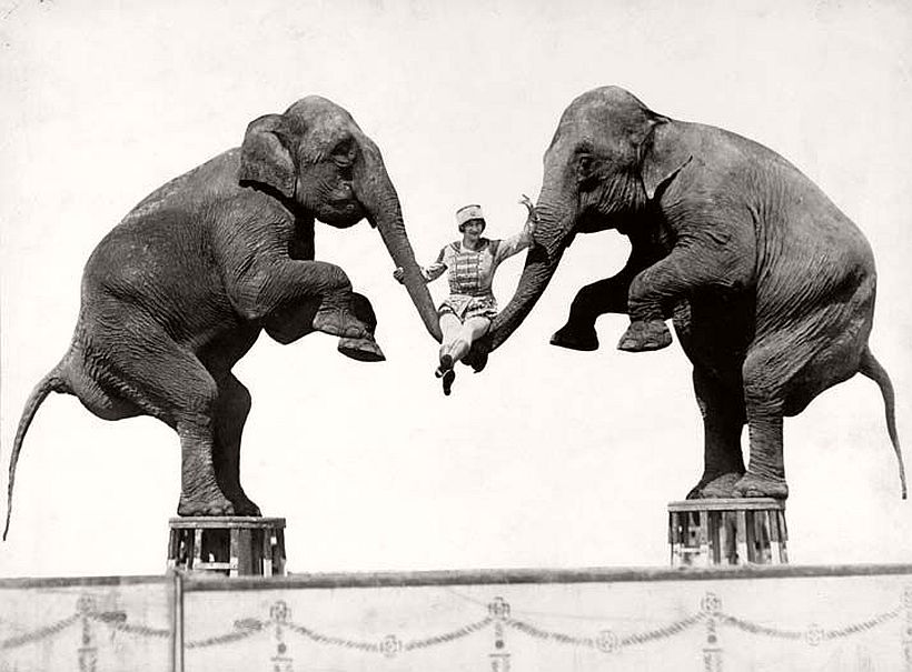 Amazing Vintage Photographs Capture Daily Life of Circus Performers of ...
