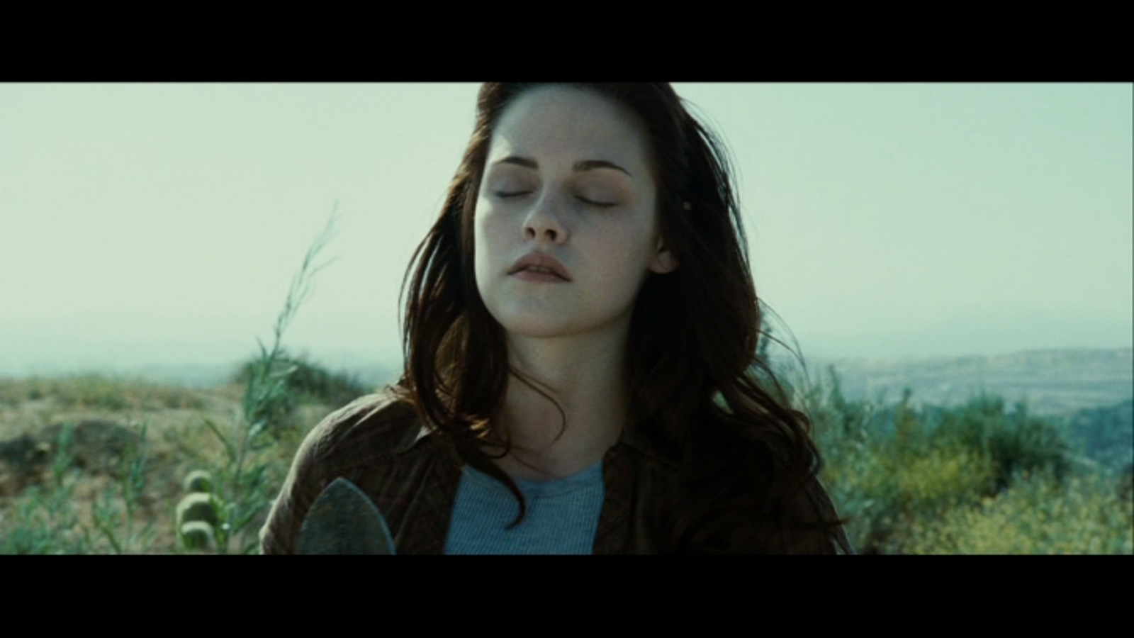 Antler: Analysis of Opening Sequence - Twilight