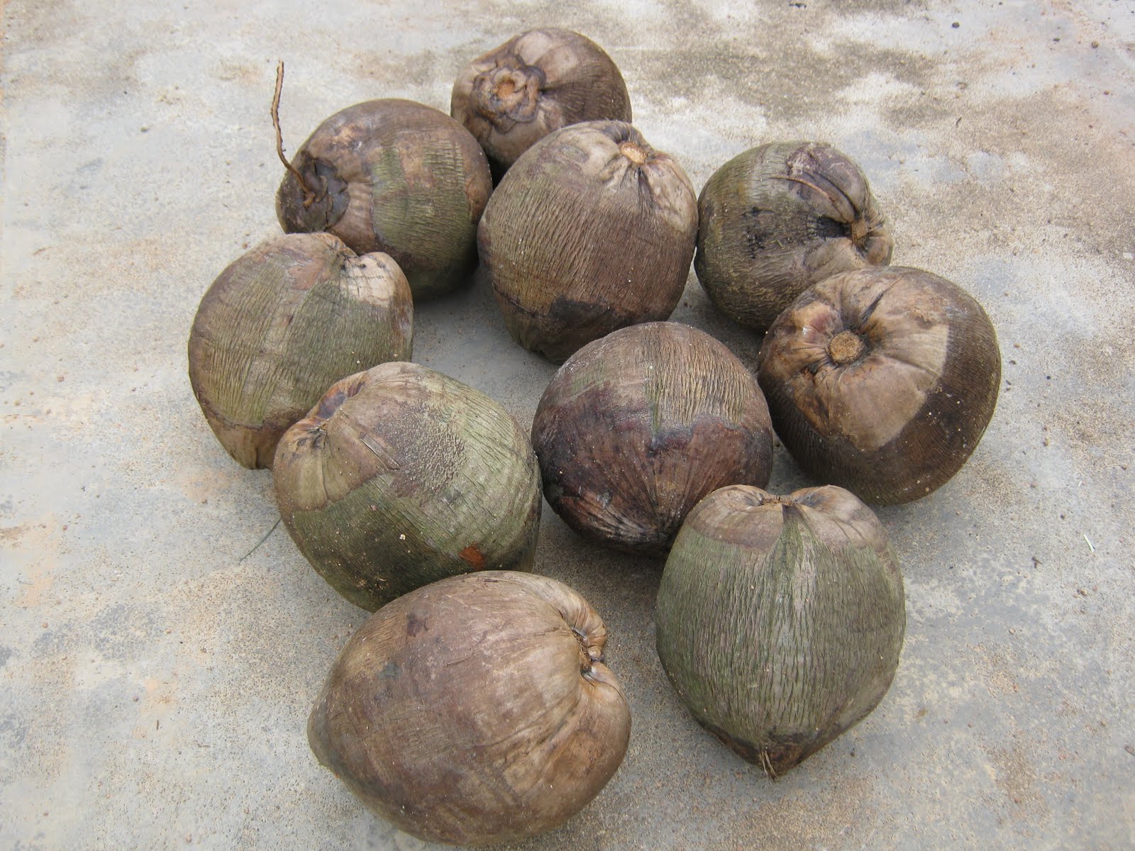 Azram Sulong: BUAT LEMANG