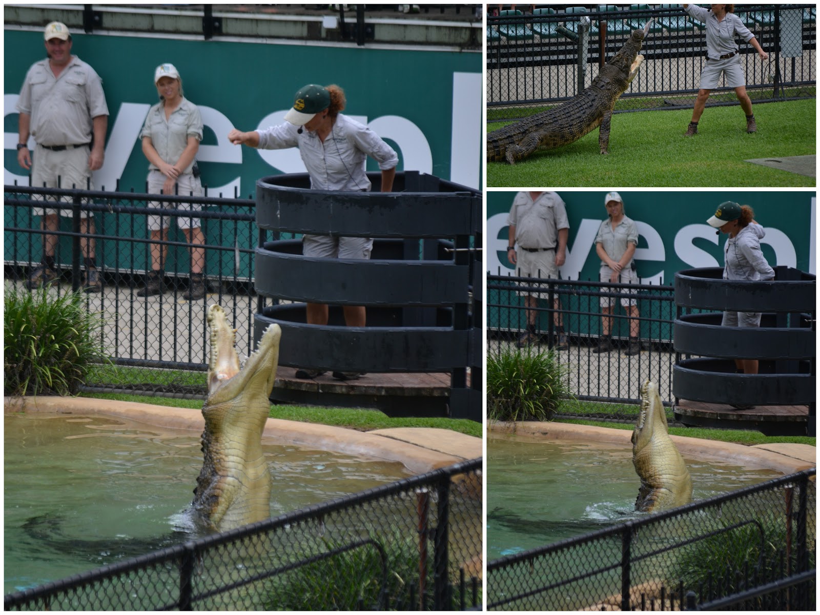 The Inescapable Us:: Brisbane & The Australia Zoo