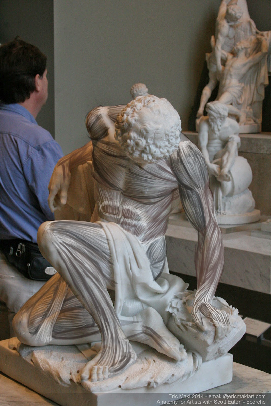 Maki Attack!: Anatomy for Artists, Final Ecorche Drawings