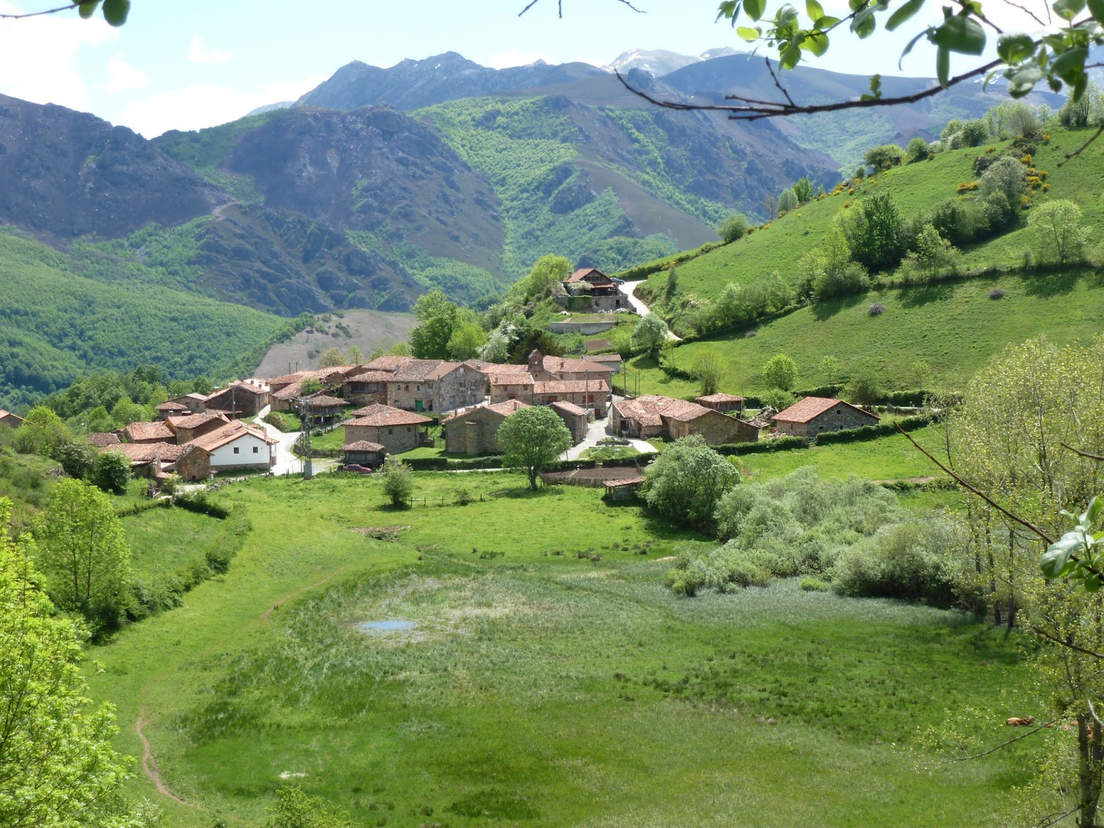 CAMINO AL ANDAR: EN EL CONCEJO DE TEVERGA