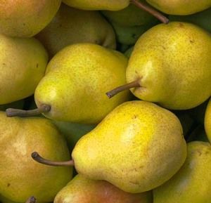 Le varietà di pere e gli usi in cucina - Cucina Green