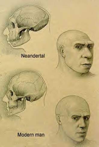 The Ancient World: Neanderthals
