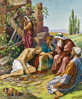 ESCUDRIÑANDO LA BIBLIA: SERIE LA BIBLIA EN VIDEOS: LIBRO DE JOB