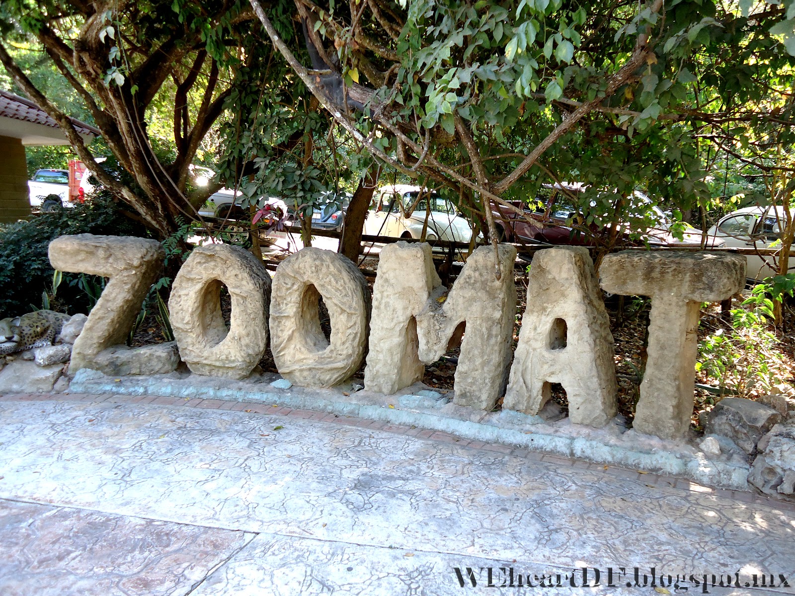 WEheartDF: Visitando el ZOOMAT