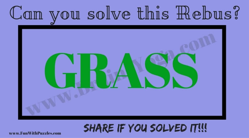 Rebus Puzzle ion Answer Rebus Puzzle ion Answer