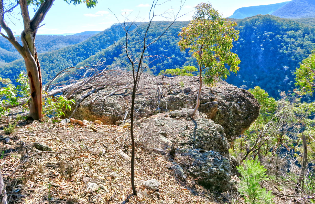 Mountains: Mt Warrigal, NSW, Australia