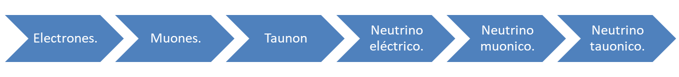 Leptones y quarks