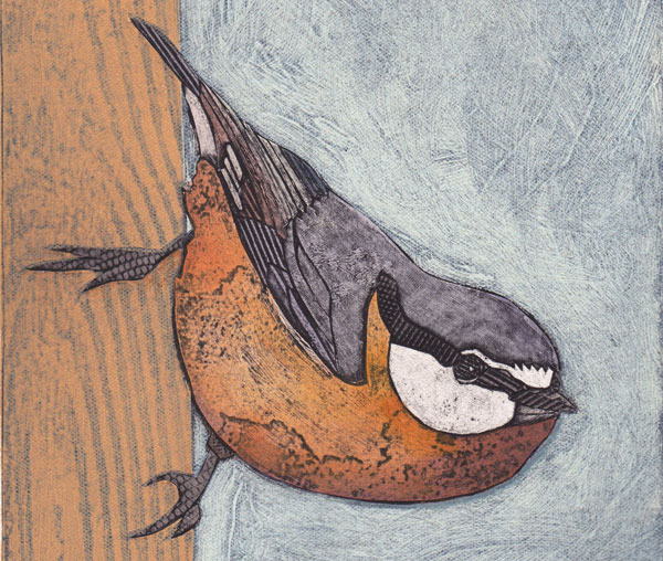 Bonnie Murray Prints: Red-Breasted Nuthatch #2 (Collagraph of Female Bird)
