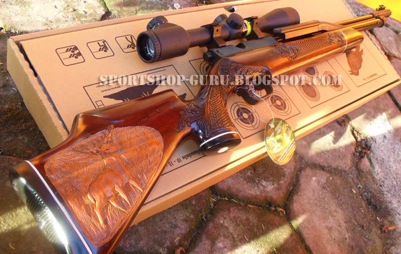 Senapan Angin Pompa Tangan Terbaik di Dunia - Best Hand Pump Air Rifle ...