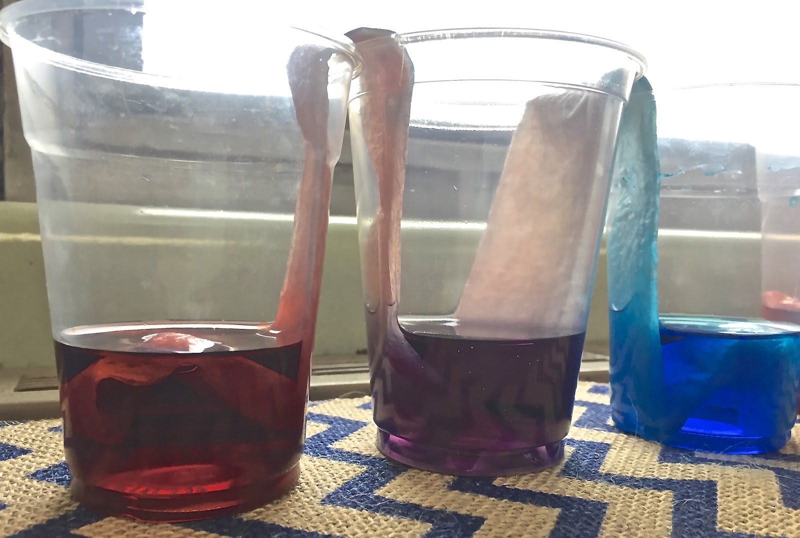 Mrs. Garrabrant's Classroom: Leaf Pictures, Purple Experiment, Library ...