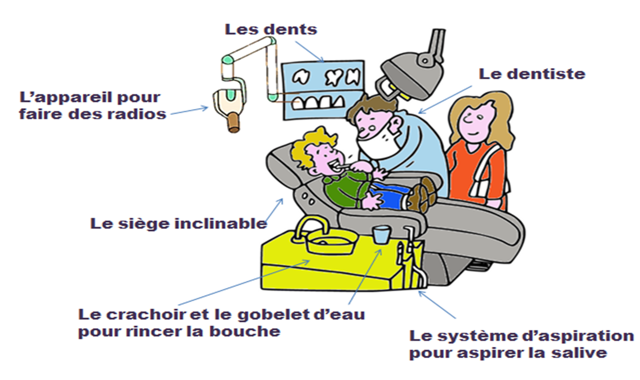 Bien sûr!: CHEZ LE DENTISTE