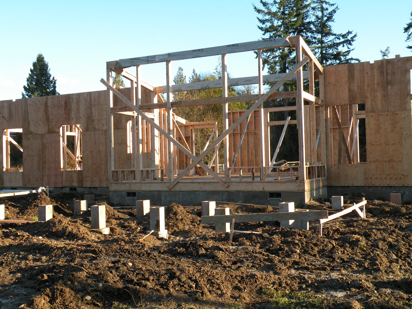 Bufflehead Pond - Life on the farm: Beam me up Scottie...