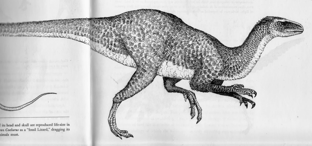 This dinosaur book aka dk dinosaur encyclopedia has a feather ...