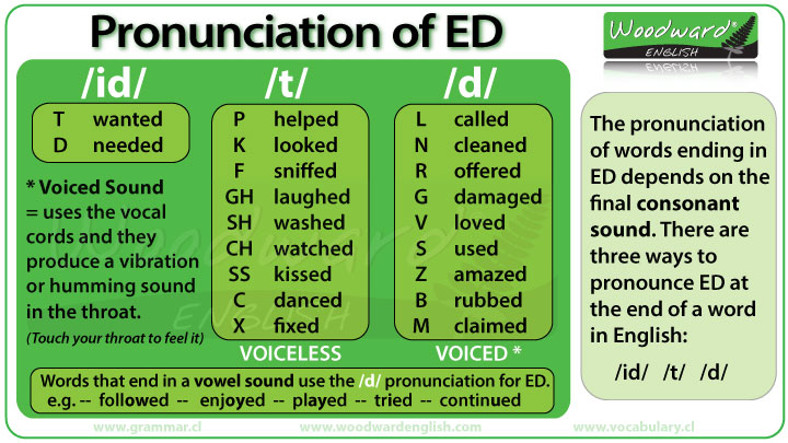 English Regular Verbs ed Ending english-regular-verbs-ed-ending