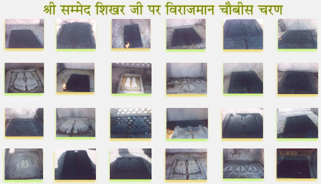 Ashapura Tours And Travels: Shikharji with Champapuri (Bhagalpur) Tirth ...