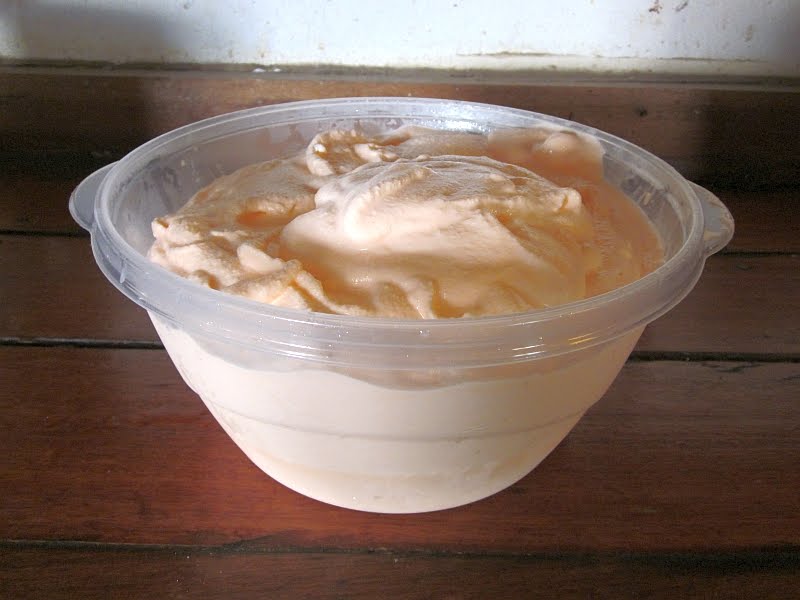 Rural Revolution: Treat for a hot spring day -- orange ice cream