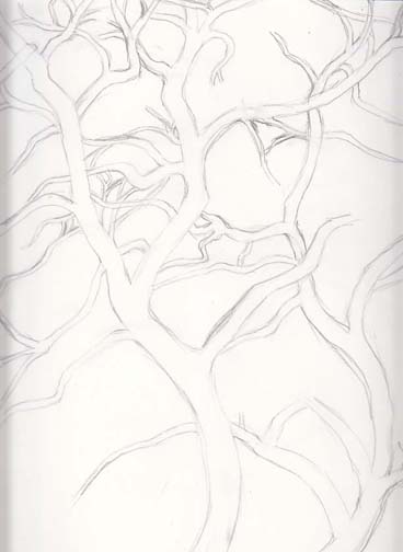 the Fine Art and Ramblings of Lisabella Russo: Sketch of Entwined Oak ...