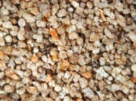 Chico Gardens: Insect Frass