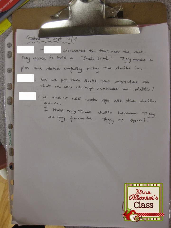 The importance (and fun!) of Documentation | Mrs. Albanese's ...