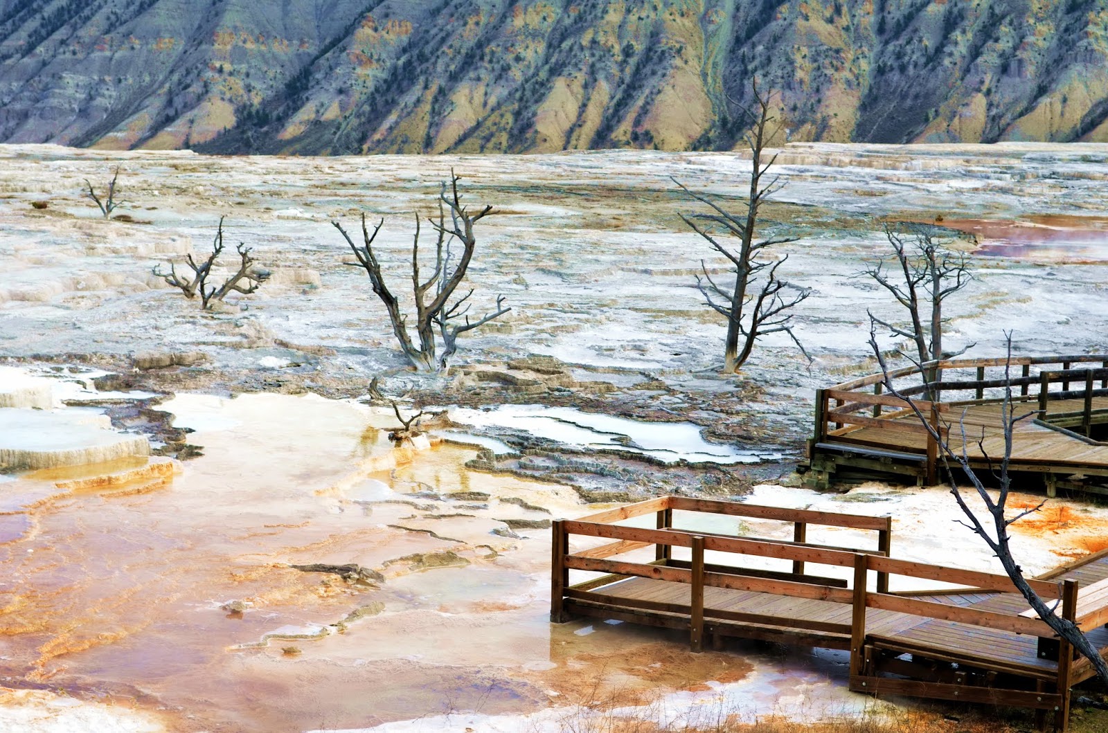 Focusing On Travel : Yellowstone: Mammoth Hot Springs are Really Cool ...