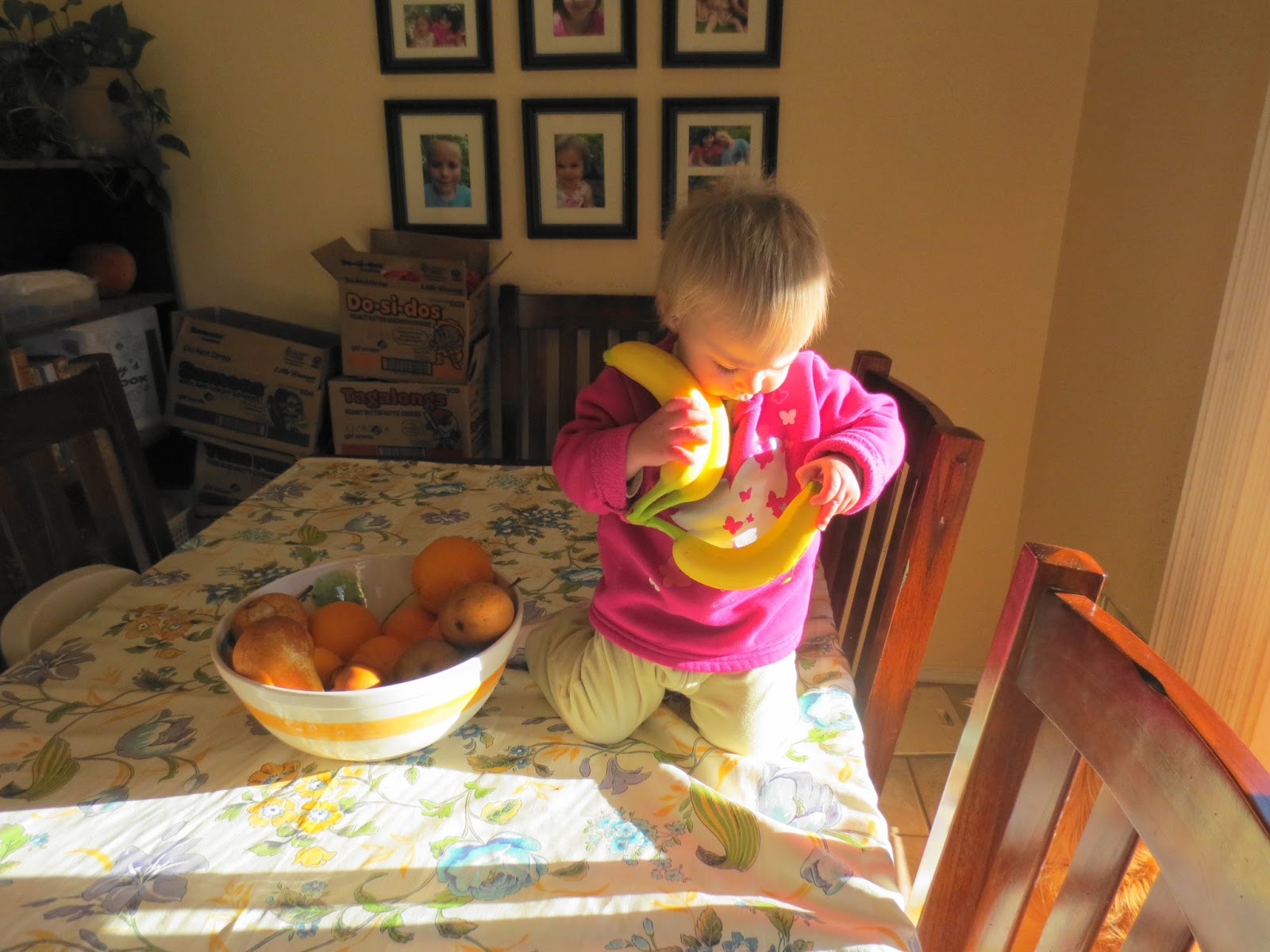 Messy Cress: Science Fair