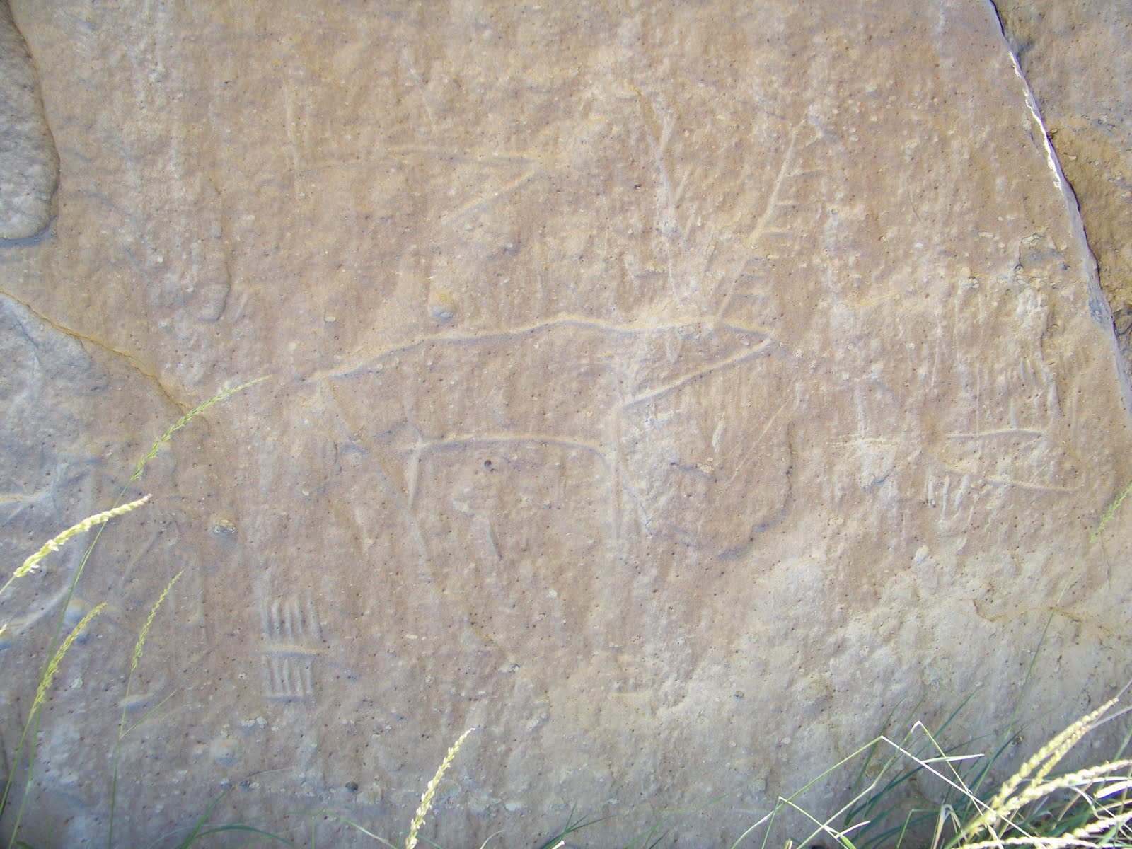 The Dynamic Earth: White Mountain Petroglyphs