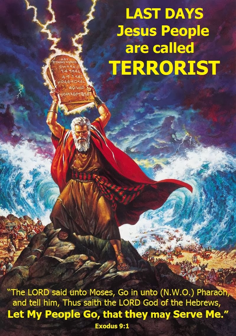 Book of Mormon Speaks from the Dust: Last Days: Jesus and His People ...