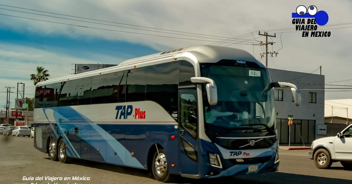 Volvo 9800 de TAP Plus