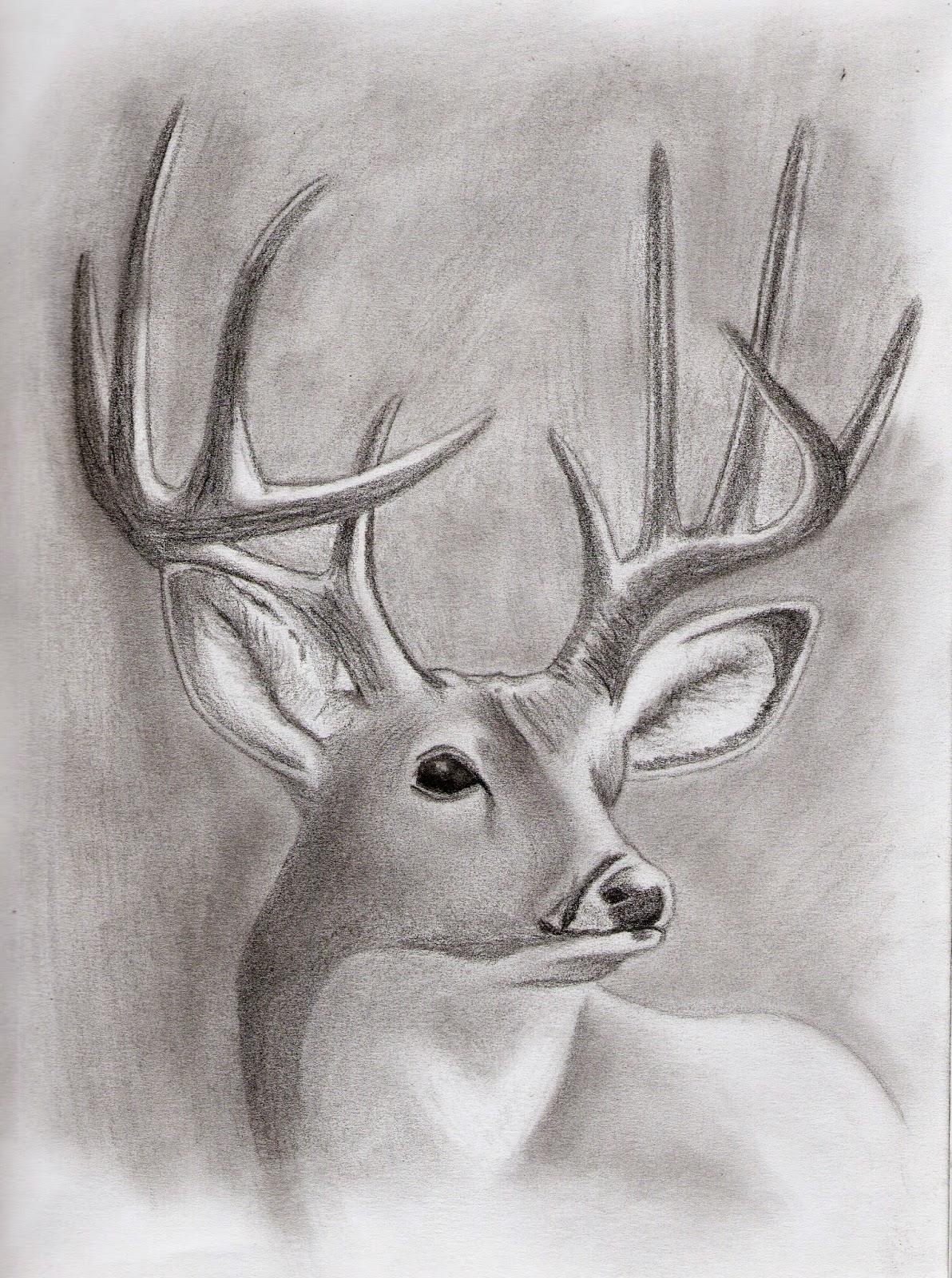 El Nido del Artista: Ciervo y Lechuza