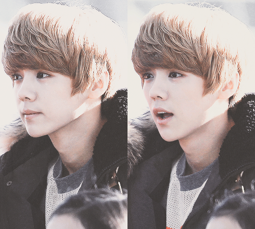 Xi Lu Han: Xi Luhan