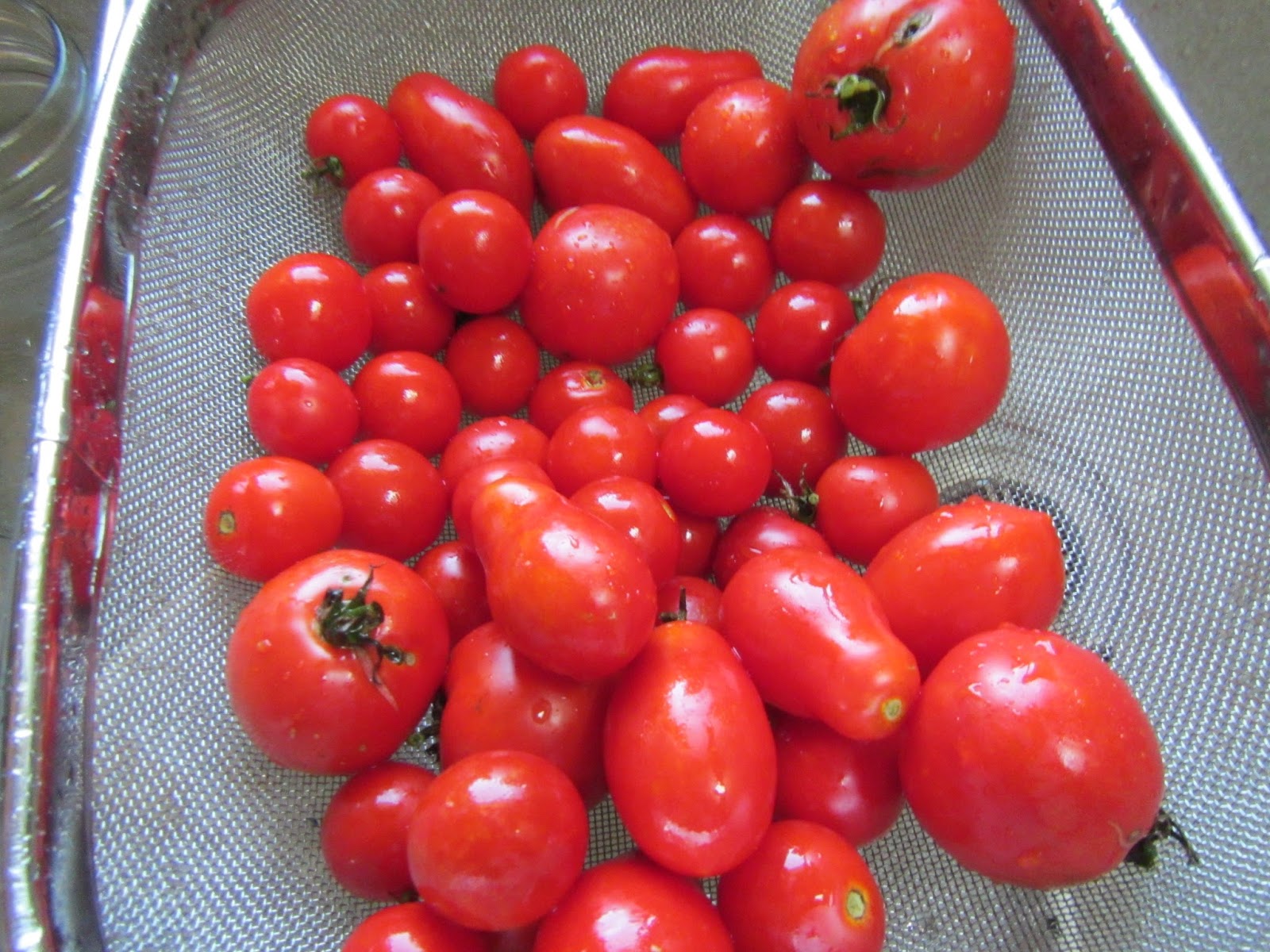 Ruthlynn's World: Little Tomato'