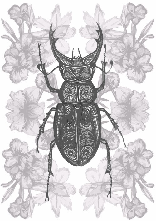 bryony drew a picture: Beetle Pattern