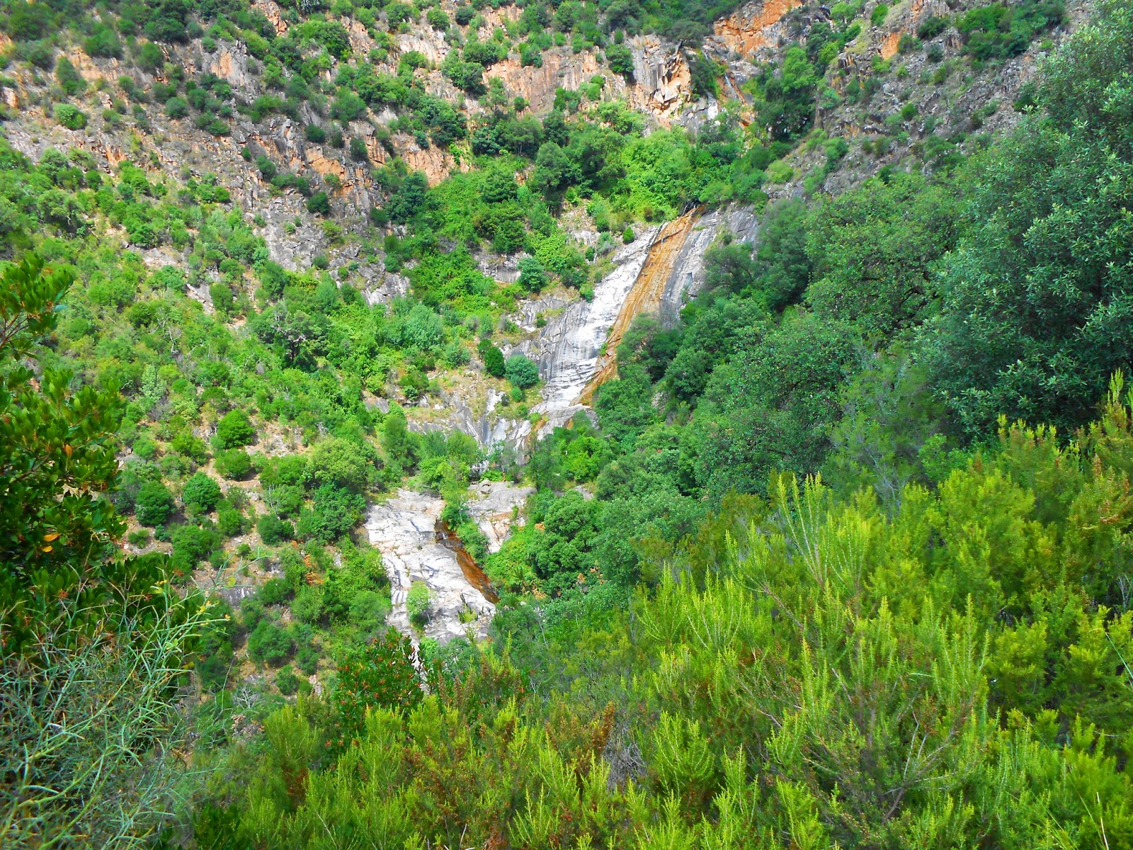 m.angels: Parc mediambiental de Gualba - Salt de Gualba i gorg de Goja.