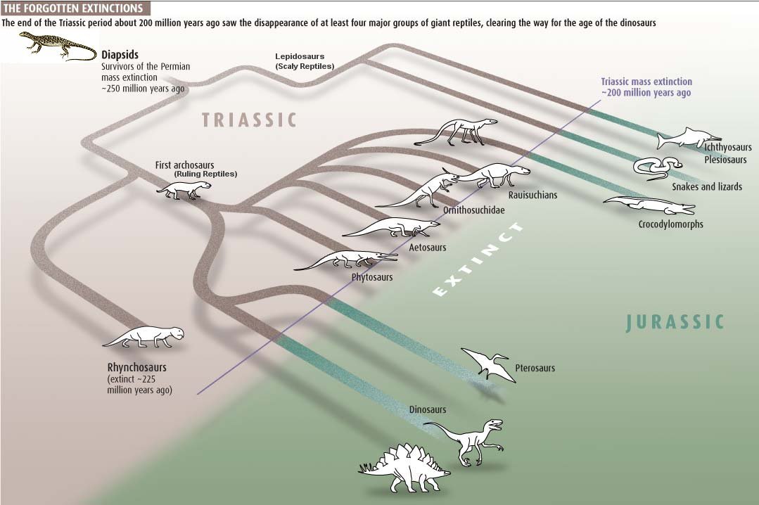 The Dragon's Tales: Triassic-Jurassic Boundary Extinction had Nasty ...