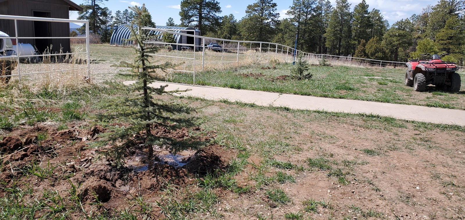 Colorado Hatch Ranch: 2020