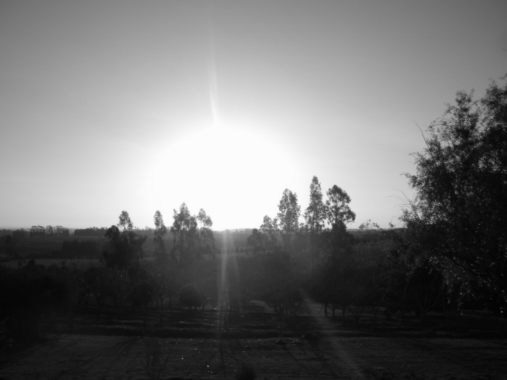 POESÍA Y TRANSICIONES: CON MUCHO SOL...