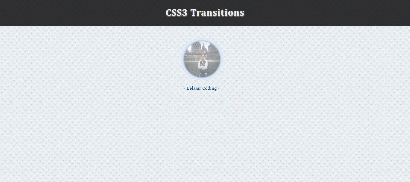Cara Membuat Effect Transition Hover Dengan CSS - Belajar Coding Cara Membuat Effect Transition Hover Dengan CSS - Belajar Coding