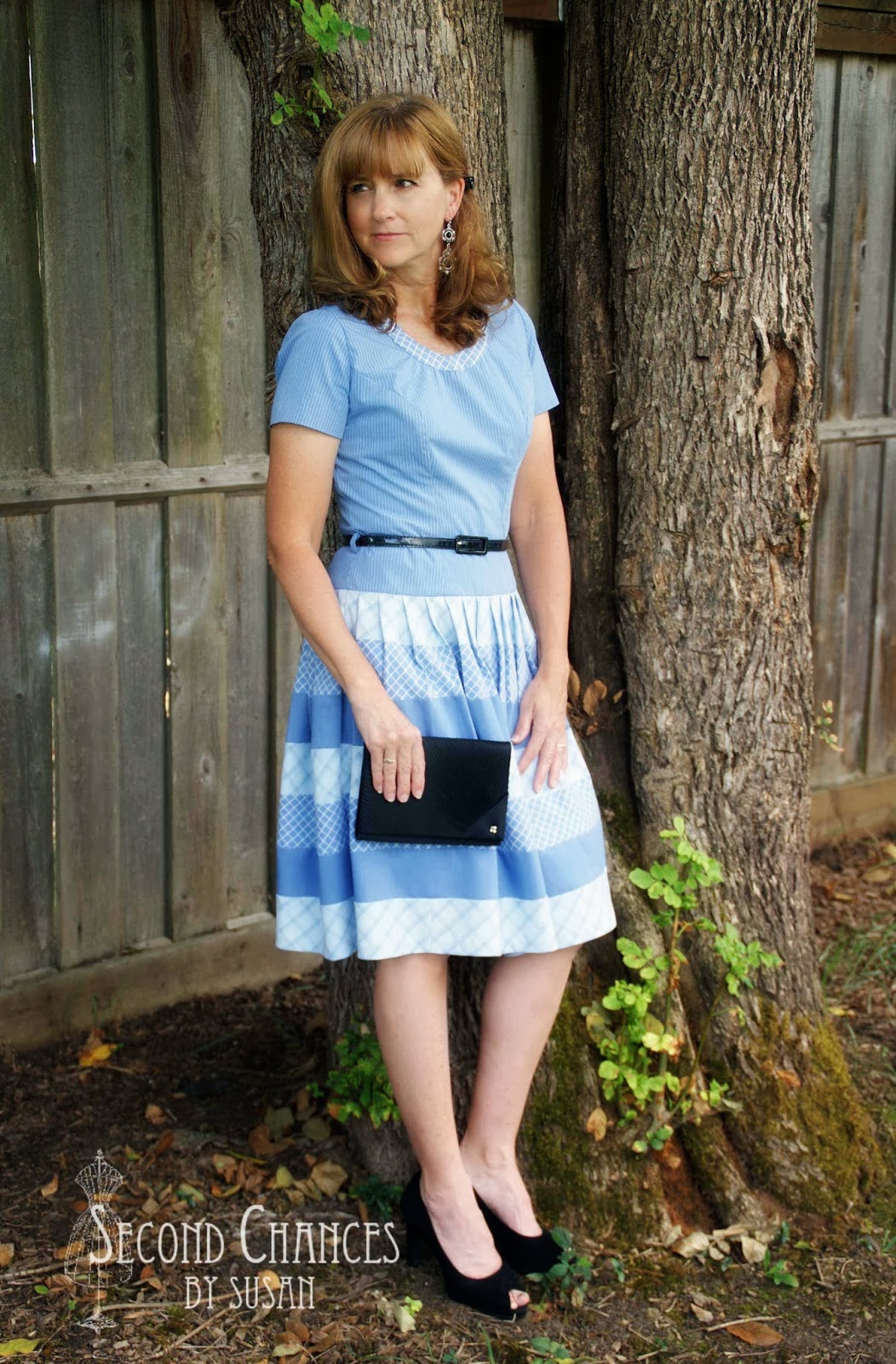 Second Chances by Susan: 2013