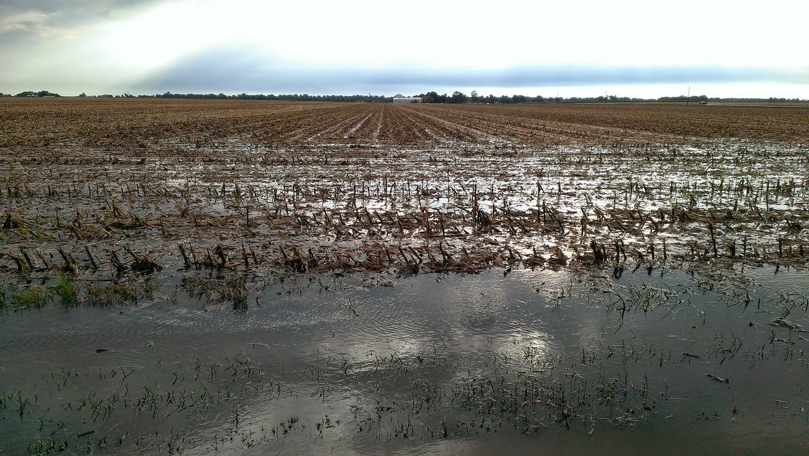 How Wet Is It? - Cultivation Of Crops