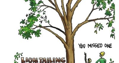 lion tailing | 樹沃客樹藝