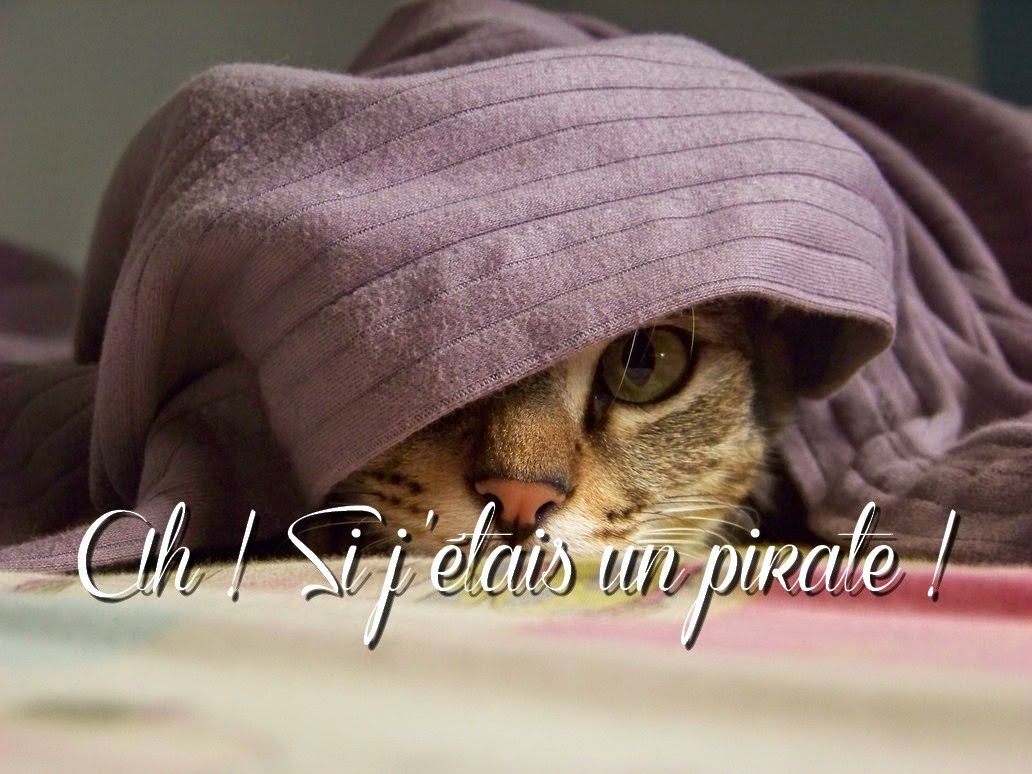 Le navire dévoreur de livres: ⛵ Ah ! Si j'étais un pirate ! Mars 2015