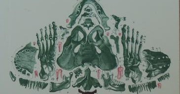 Hyönteisdokumentti: Mercè Rodoreda - Death in Spring