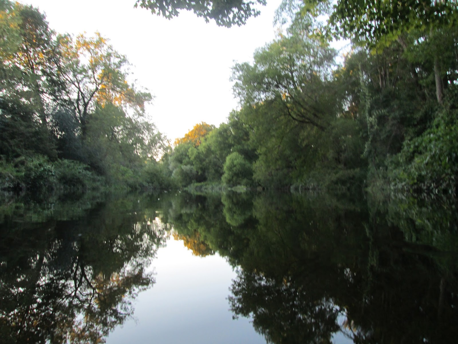 Acorn Place: Picture of the Day: August 16, 2013